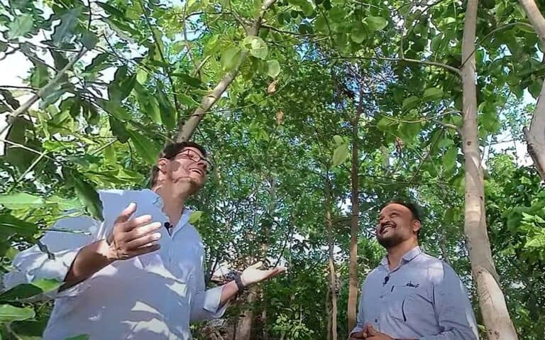 All Content Page - AKF | The Learning Hub