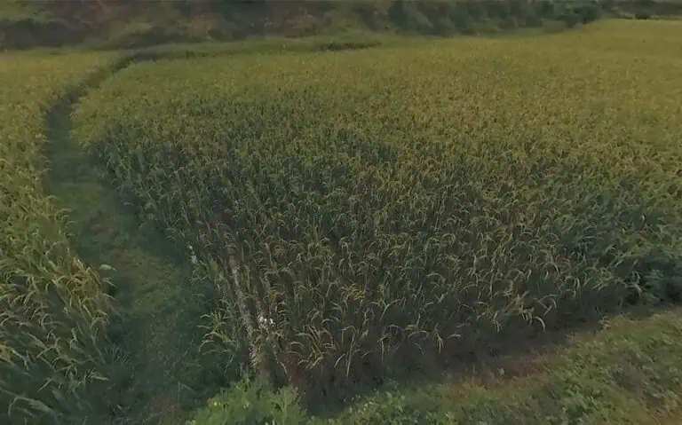 All Content Page - AKF | The Learning Hub