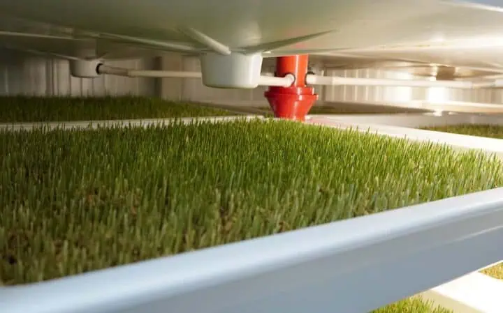 AKF - The Learning Hub - Empowering communities