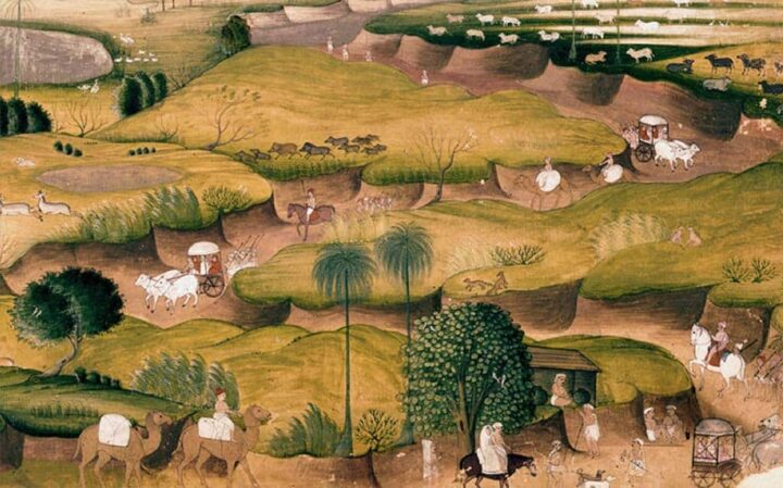 Teaching the SDGs through Art: Life on Land - AKF | The Learning Hub